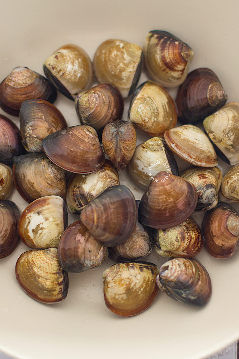 Loofah Clam Soup Recipe | NoobCook.com