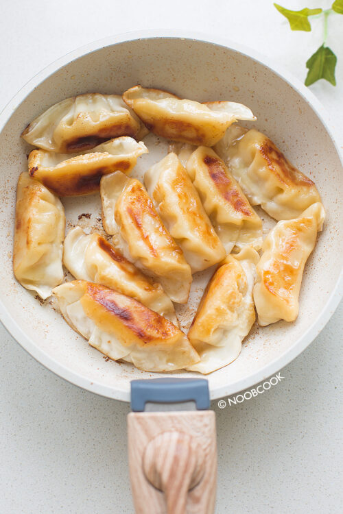 How to Pan Fry Gyoza (Frozen Supermarket) | Noob Cook